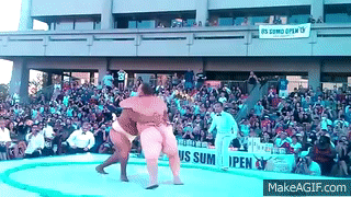 Sumo Slam Gravity on Make a GIF
