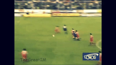 Javier Zanetti - Top 5 Goals [HD & 3D] on Make a GIF