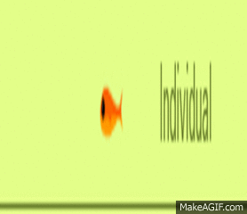 Levels of organization on Make a GIF