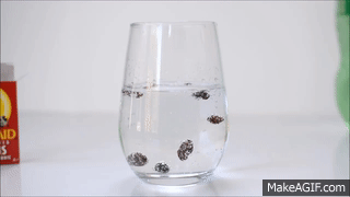 Dancing Raisins on Make a GIF