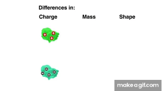 Western Blotting Animation: Part II: Polyacrylamide Gel Electrophoresis ...