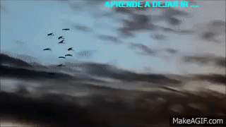 Deva Premal - Gayatri Mantra (2 hours) on Make a GIF