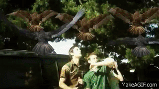 BIRDEMIC: The Best Worst Movie Ever - JonTron on Make a GIF