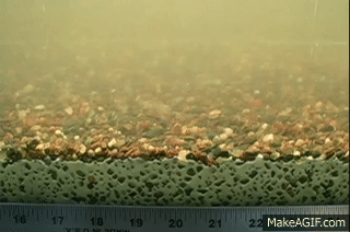 Sediment Transport, 100 g/m/s (3.8 mm & 0.080 mm) on Make a GIF