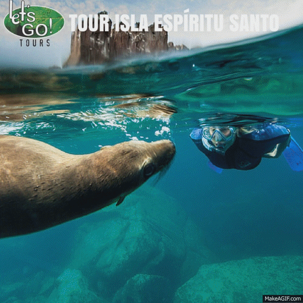 choise your adventure on Make a GIF