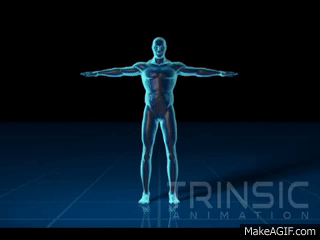 Pulmonary Embolism Medical Animation on Make a GIF