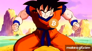 BITCOIN PUMP IT UP ↑ on Make a GIF