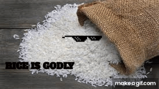 RICE GODS on Make a GIF
