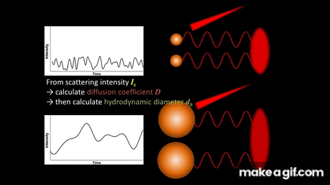 Why bias an average? // An intro to DLS and particle size measurement ...