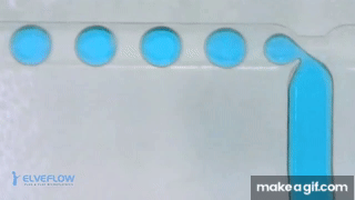 MICROFLUIDICS DROPLET GENERATION WITH T-JUNCTION on Make a GIF