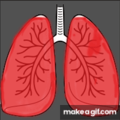 Lung Capacity Decreasing on Make a GIF