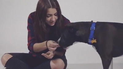 Invading An Animal Shelter on Make a GIF