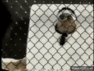 Got Milk - Basketball (1999) on Make a GIF