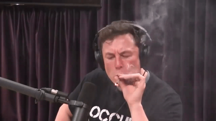 Elon Musk smokes weed for the first time! on Make a GIF