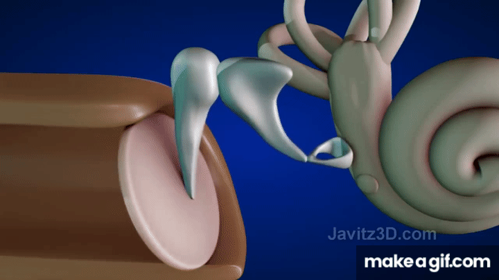 How the ear works on Make a GIF