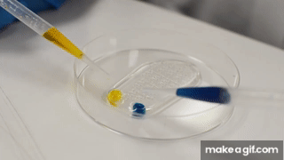 Bioprinting 101: How to make Microfluidic Chips on Make a GIF