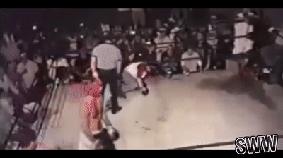 Referees VS Fighters | NEW on Make a GIF
