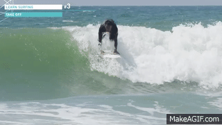 Surfing Tutorial UCPA #3 - The Take off on Make a GIF