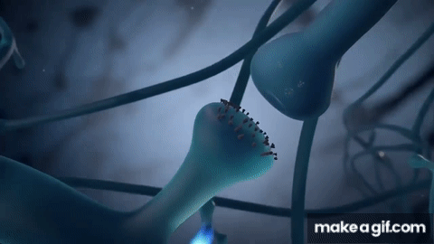 Elon Musk’ın son girişimi Neuralink 2020’de insan beynine çip takacak ...