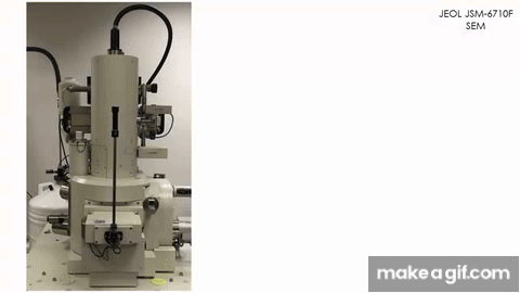 Scanning Electron Microscopy (SEM): animation of 3 types of imaging on ...