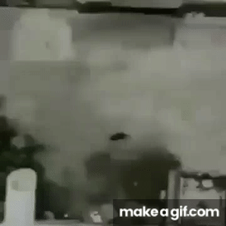 Rat got crush by a brick meme on Make a GIF