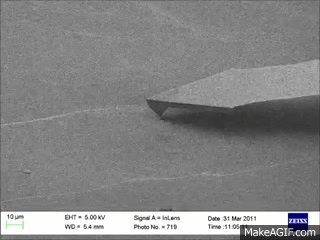 Watch the AFM tip at work, with the DME BRR, a fully integrated hybrid ...