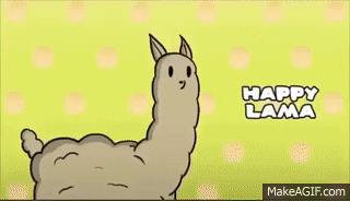 Lama Gif 38 Kind Durcheinander GIF Auf GIFER Finden