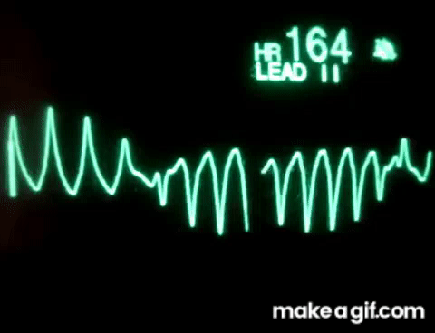 Polymorphic VT on Make a GIF