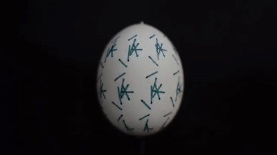 Eggstatic – stroboscopic patterns for Easter eggs on Make a GIF
