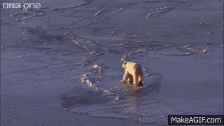 HD: 'Ice Skating' Polar Bears - Nature's Great Events: The Great Melt ...