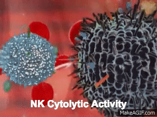 Immune System - Natural Killer Cell - Part 3 on Make a GIF