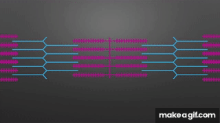 Muscle contraction: Sliding filament model animation for A level ...