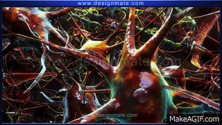 Science - Structure of Neuron on Make a GIF