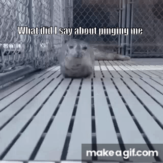 Don’t ping me on Make a GIF