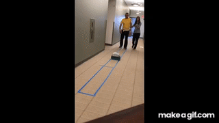 Functional Gait Assessment Stepping over obstacle on Make a GIF