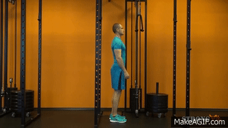 Rope High Pulley Triceps Extension on Make a GIF