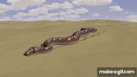 Concertina Motion on Make a GIF