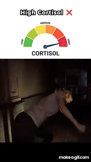 Low Cortisol in Resident Evil 😂 on Make a GIF