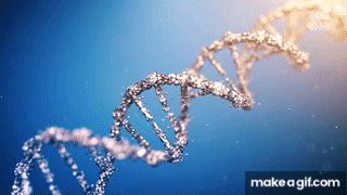 We May Have Been Wrong About the Origin of Life on Make a GIF