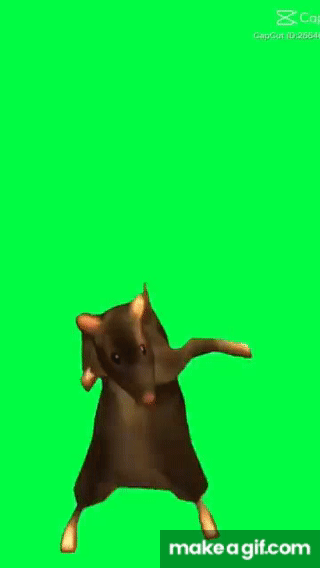 rata bailando on Make a GIF