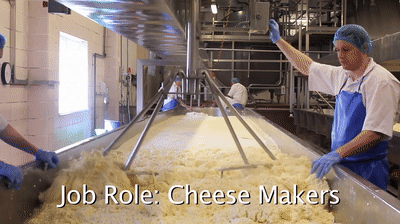 Cheese Making Process on Make a GIF