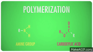 Polymers - Crash Course Chemistry #45 on Make a GIF