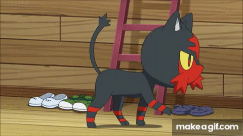 Litten and Popplio playing together on Make a GIF