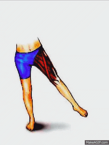 Adduction on Make a GIF