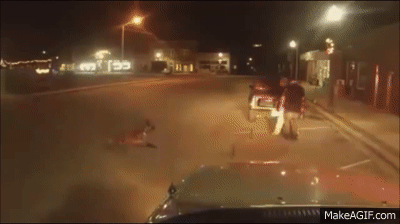 DASHCAM: AMAZING! Watch How Fast This Police Dog Goes into Attack Mode ...