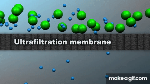 Tangential Flow Filtration - TFF (GFP Purification part 5 of 6) on Make ...