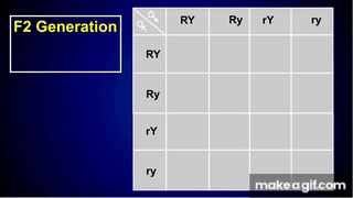 Dihybrid Genetic Cross on Make a GIF