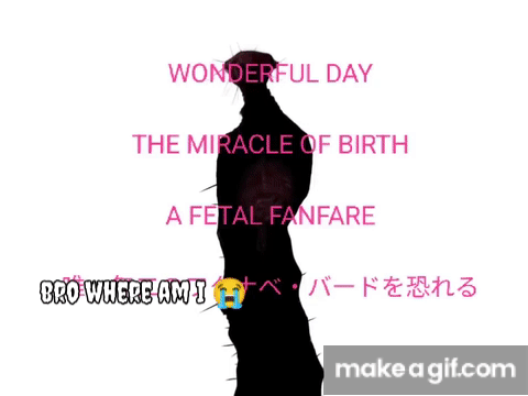 THE BOILED ONE PHENOMENON on Make a GIF