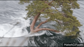 311 Japan Tsunami 【東日本大震災】津波災害[HD] on Make a GIF