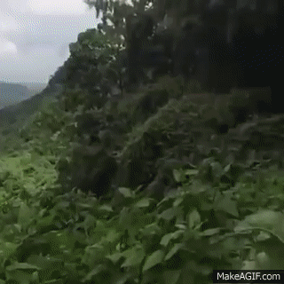 Hi Okay on Make a GIF